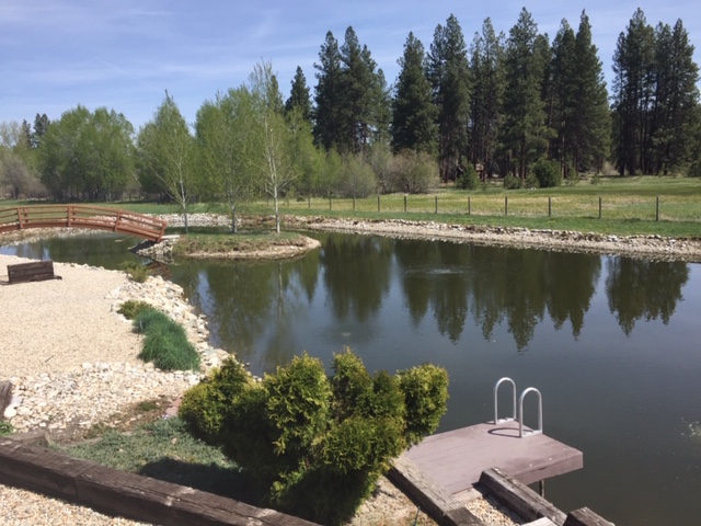 Septic Solutions for Septic Systems | ENVIRONMENTAL SOLUTIONS